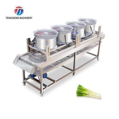 China 350KG Stainless steel fruit and vegetable processing air drying machine group production line for sale