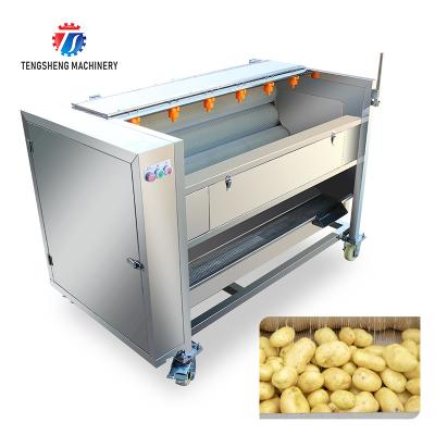 China Multi Functional Fruit Washing Machine Medium Sized Lotus Root Washing Radish Machine for sale