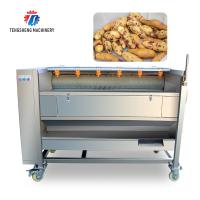 China Potato Carrot Brush Cleaning And Peeling Machine 1200-1500KG/H for sale