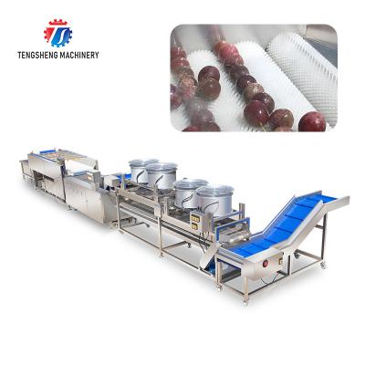 China Fruit and vegetable brush bubblecleaning and drying production line Fruit Vegetable FOOD processing production Machine for sale