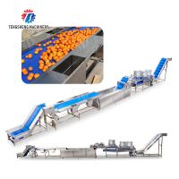 China Fruit and vegetable selection  washing and drying production line Fruit Vegetable FOOD processing production Machine for sale