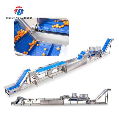 China Multifunctional Fruit Sorting Machine Vegetable Washing Drying Production Line for sale