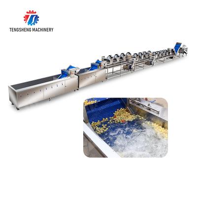 China Orange Potato  Potatoes round tuber crops Carrots and longitudinal root vegetables Onions Cabbage varieties Fruiting veget Large-scale fruit and vegetable washing drying and cutting production line for sale
