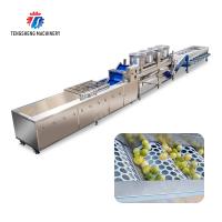 China 380V Fruit And Vegetable Processing Line Fully Automatic Cleaning Drying Grading for sale