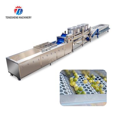 China 380V Fruit And Vegetable Processing Line Fully Automatic Cleaning Drying Grading for sale