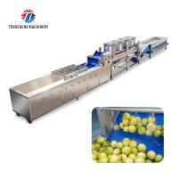 China Passion fruit cleaning and drying sorting production line Fruit Vegetable FOOD processing production Machine for sale