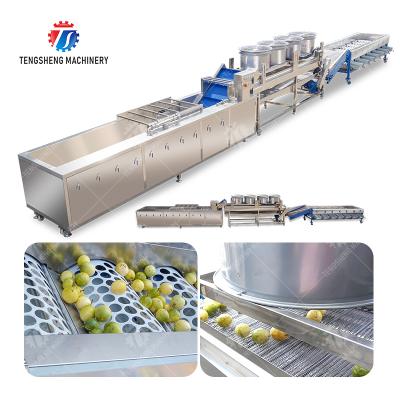 China Passion Fruit Bubble Cleaning And Drying Sorting Production Line for sale
