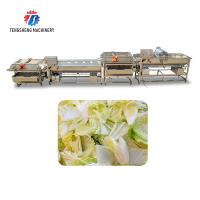 China Double Vortex cleaning production lineOrange Leaves Vegetables sward beans soybeans green beans chickpeas beans  red beans mung beans green peas Fruit Vegetable FOOD processing production Machine for sale