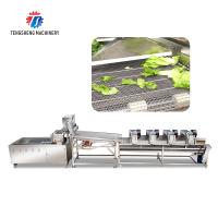 China 1000KG/H Fruit And Vegetable Processing Line Bubble Washing And Vibrating Drying for sale