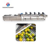 China Tengsheng High Voltage Spraying Fruit And Vegetable Processing Line Industrial residual degradation for sale