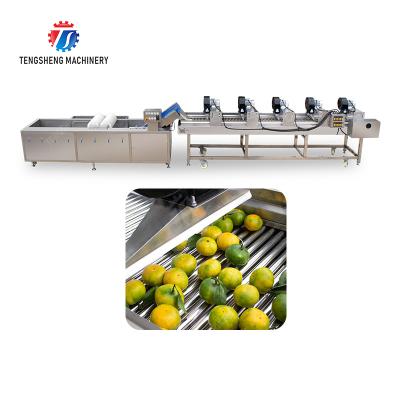 China Tengsheng High Voltage Spraying Fruit And Vegetable Processing Line Industrial residual degradation for sale