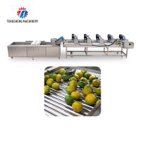China Fruits cleaning and drying production line Fruit Vegetable FOOD processing production Machine for sale