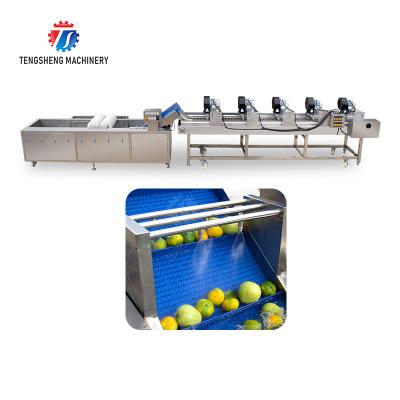 China Customized Driven Pesticide Exclude Vegetable Processing Line , Centrifuging Tomato Processing Line for sale
