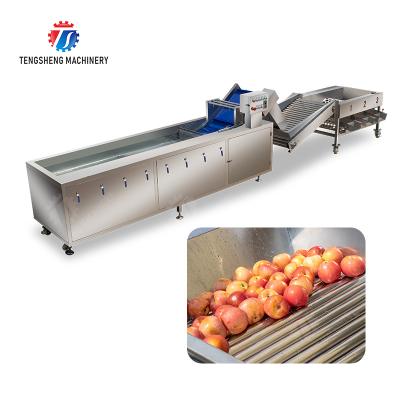 China Fruit bubble washing and sorting production line Fruit Vegetable FOOD processing production Machine for sale