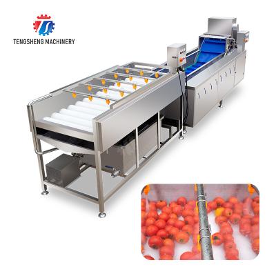 China SS 380V Industrial Vegetable And Fruit Washing Machine for sale