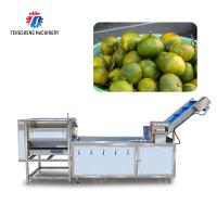 China Customized Citrus Fruit And Vegetable Processing Line Impurities Treatment Sewage Disposal for sale