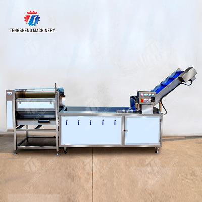 China Citrus Stalk Eliminated Lemon Processing Machinery Industrial Air Bubble Brush for sale