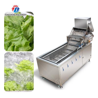 China Bubble Vegetable Washing Machine Fruit Orange Vegetable Leaves Vegetables Herbs production Destoning Wash Washer Washing Cleaning for sale