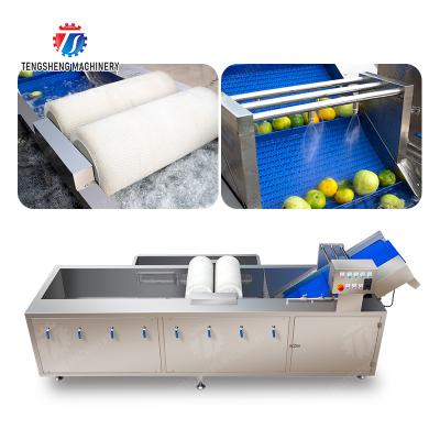 China Wash Washer Washing Cleaning Brush bubble cleaning machine Carrots and longitudinal root vegetables Onions Leafy vegetables Cabbage varieties Herbs Fruiting vegetables for sale