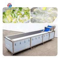 China Vegetables Leaves Vegetables Onions Leafy vegetables Cabbage varieties Herbs Fruiting vegetables bubble washing machine for sale