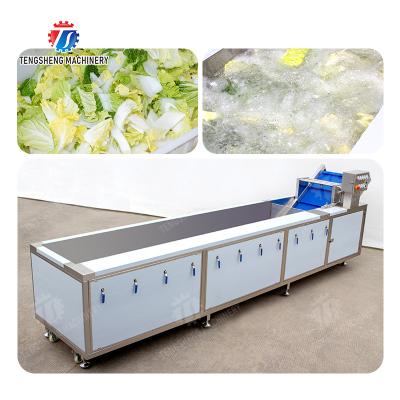 China Vegetables Leaves Vegetables Onions Leafy vegetables Cabbage varieties Herbs Fruiting vegetables bubble washing machine for sale