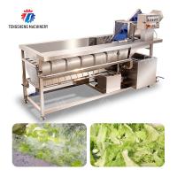 China Cleaning processing production Machine Vortex vegetable washing machine red beans  mung beans  green peas beans canning Potato  Potatoes and round tuber crops Carrots and longitudinal root vegeta for sale