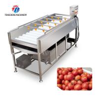 China Potatoes and round tuber crops Carrots and longitudinal root vegetables Onions Ginger Carrot Taro Sweet potato Yam Potato Saiko persimmon Parallel Brush Machine Wash Washer Washing Cleaning for sale