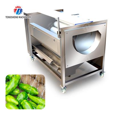 China Ginger Potato Carrot Taro Sweet potato Yam Saiko persimmon Papaya Brush cleaning and peeling machine Wash Washer Washing Cleaning Dryer Frozen  processing production Destoning for sale