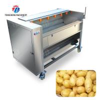 China Fruit Vegetable Potatoes and round tuber crops Carrots and longitudinal root vegetables Ginger Potato Carrot Taro Sweet potato Yam Saiko persimmon Roller brush washing and peeling machine with spray for sale