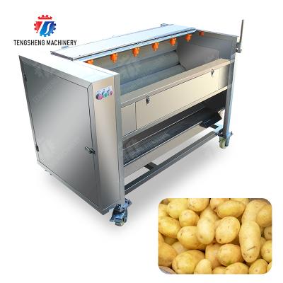 China Fruit Vegetable Potatoes and round tuber crops Carrots and longitudinal root vegetables Ginger Potato Carrot Taro Sweet potato Yam Saiko persimmon Roller brush washing and peeling machine with spray for sale