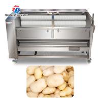 China Potatoes and round tuber crops Ginger Potato Carrot Taro Sweet potato Yam Saiko persimmon papaya horseshoe macadamia nut Brush Washing and Peeling for sale