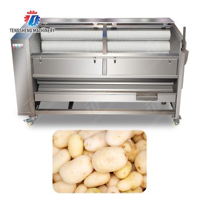 China Potatoes and round tuber crops Ginger Potato Carrot Taro Sweet potato Yam Saiko persimmon papaya horseshoe macadamia nut Brush Washing and Peeling for sale