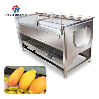 China Large scale brush Washing cleaning and peeling machine Ginger Potato Carrot Taro Sweet potato Yam Saiko persimmon papaya horseshoe macadamia nut for sale