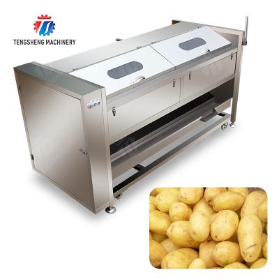 China Wash Washer Washing Cleaning processing production Destoning Sealed Cover Type Peeling Machine Ginger Potato Carrot Taro Sweet potato Yam Saiko persimmon papaya horseshoe macadamia nut for sale