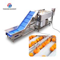 China Orange Potato  Onions Ginger Potato Carrot Taro Sweet potato Yam Saiko persimmon papaya horseshoe Simple melon and fruit lifting and brush roller cleaning production line for sale