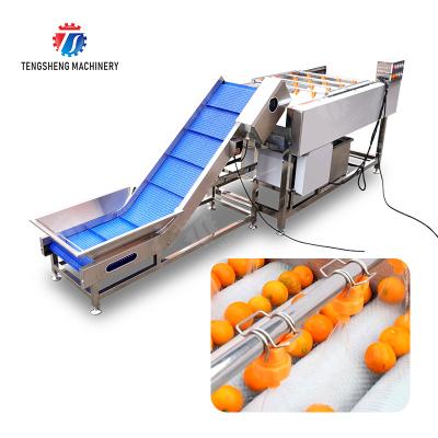 China Orange Potato  Onions Ginger Potato Carrot Taro Sweet potato Yam Saiko persimmon papaya horseshoe Simple melon and fruit lifting and brush roller cleaning production line for sale