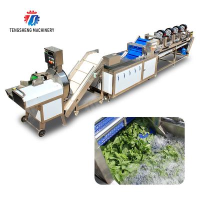 China Orange Potato  Onions Ginger Potato Carrot Taro Sweet potato Yam Saiko persimmon papaya horseshoe 2025 Fruit and vegetable cutting, cleaning and air-drying production line for sale
