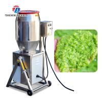China Saiko persimmon Apple Ginger chili onion garlic minced meat minced pork fruit juice orange juice Tomato juice apple juice celery juice Celery Celery Juice kale Kale Juice ginger juice for sale
