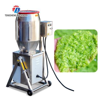 China Saiko persimmon Apple Ginger chili onion garlic minced meat minced pork fruit juice orange juice Tomato juice apple juice celery juice Celery Celery Juice kale Kale Juice ginger juice for sale