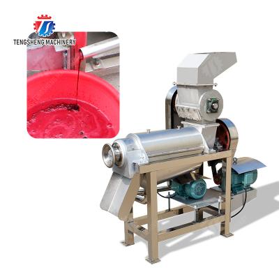 China Spiral juice extractor Fruit Vegetable Celery Juice kale Kale Juice Spinach juice Juice made from wild cherry plums for sale