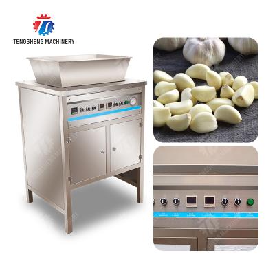 China 2.2KW Garlic Peeling Machine Industrial Factory Food Processor for sale