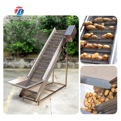 China Potatoes Hoisting machine Fruit Saiko persimmon macadamia nut Apple Carrot radish Taro Sweet potato Yam cucumber towel gourd balsam pear winter melon chili okra Baby Cabbage Chinese Cabbage Cabbage for sale