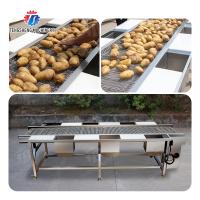 China Potato Selection Table Ginger Carrot radish Celery kale lemon Saiko persimmon Fruit Orange Vegetable for sale