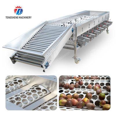 China Processing Production Inspecting Grading Fruit Vegetable Onions Saiko persimmon Apple Potato tangerine passion fruit avocado cherry Mango pear banana mangosteen kiwi fruit Fruit Sorting Machine for sale