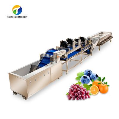 China Circulating Hole Fruit Processing Line ,  Tengsheng Roller Conveying Vegetable Processing Line for sale