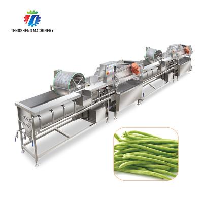 China 2400L 1800KG/H Fruit Vegetable Washing Line With Swirling Bubbles for sale