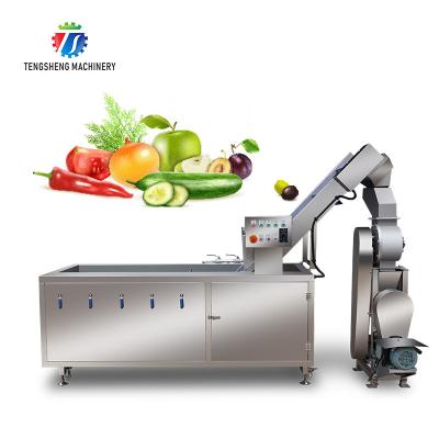 China Commercial 2.6KW Fruit And Vegetable Processing Line Bubble Cleaning Juicing Machine for sale