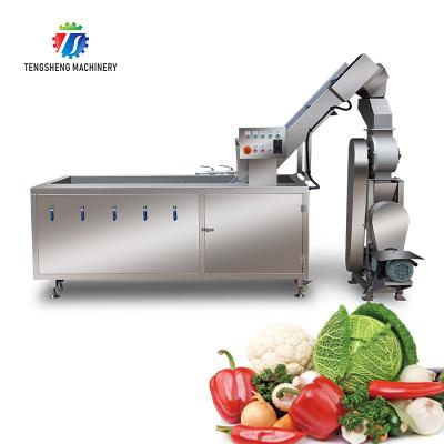 China Pears Oranges Papaya Fruit Juice Processing Line Ozone Disinfection for sale
