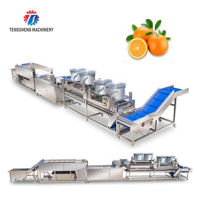 China Fruit And Vegetable Wool Roller Bubble Cleaning Machine 1500KG/H for sale