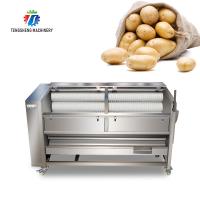 China 1500KG/H Sweet potato cleaning and peeling machine manufacturers supply brush peeling cleaning machine for sale